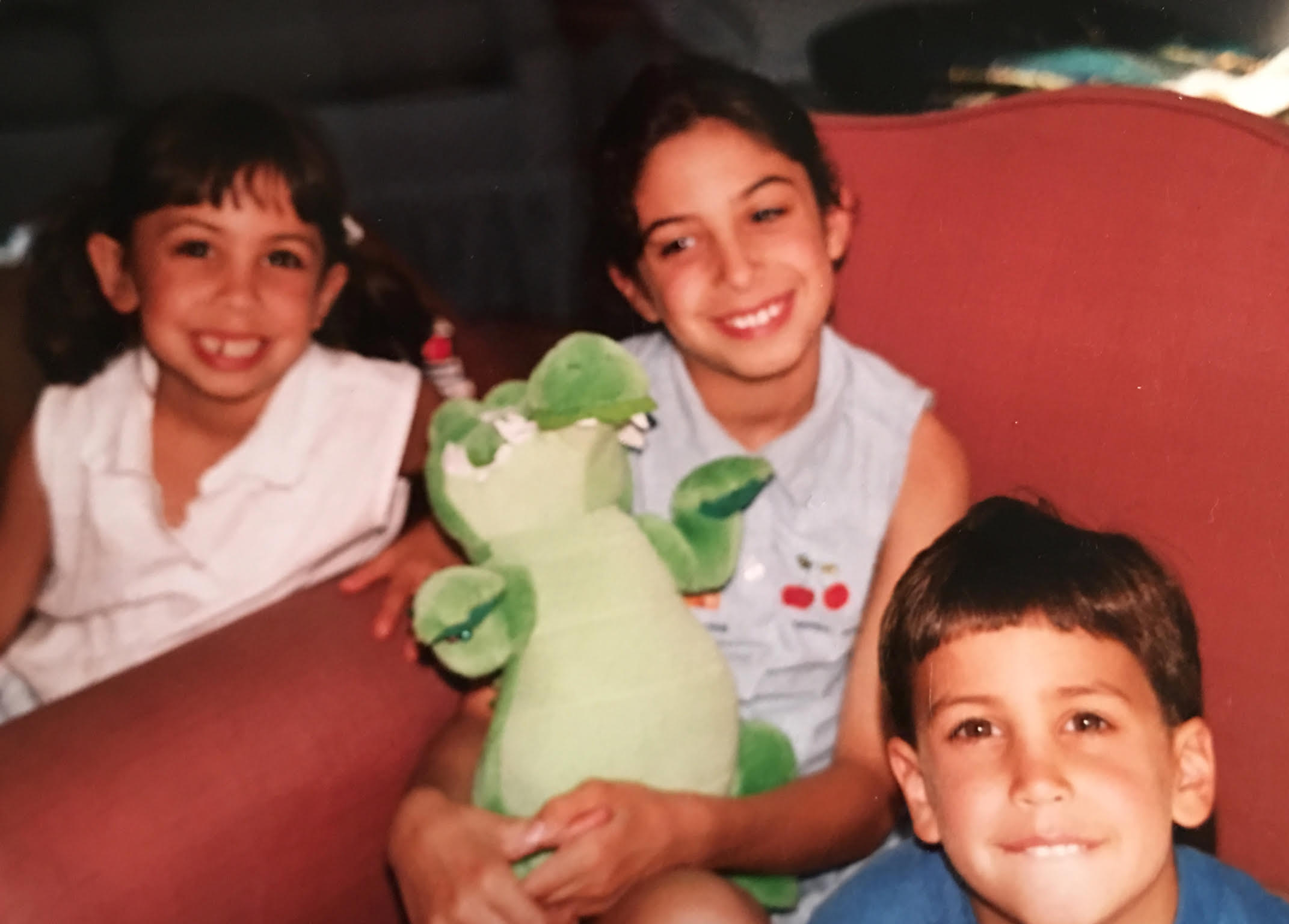 Navigating Sibling Loss - Homicide Survivors Inc